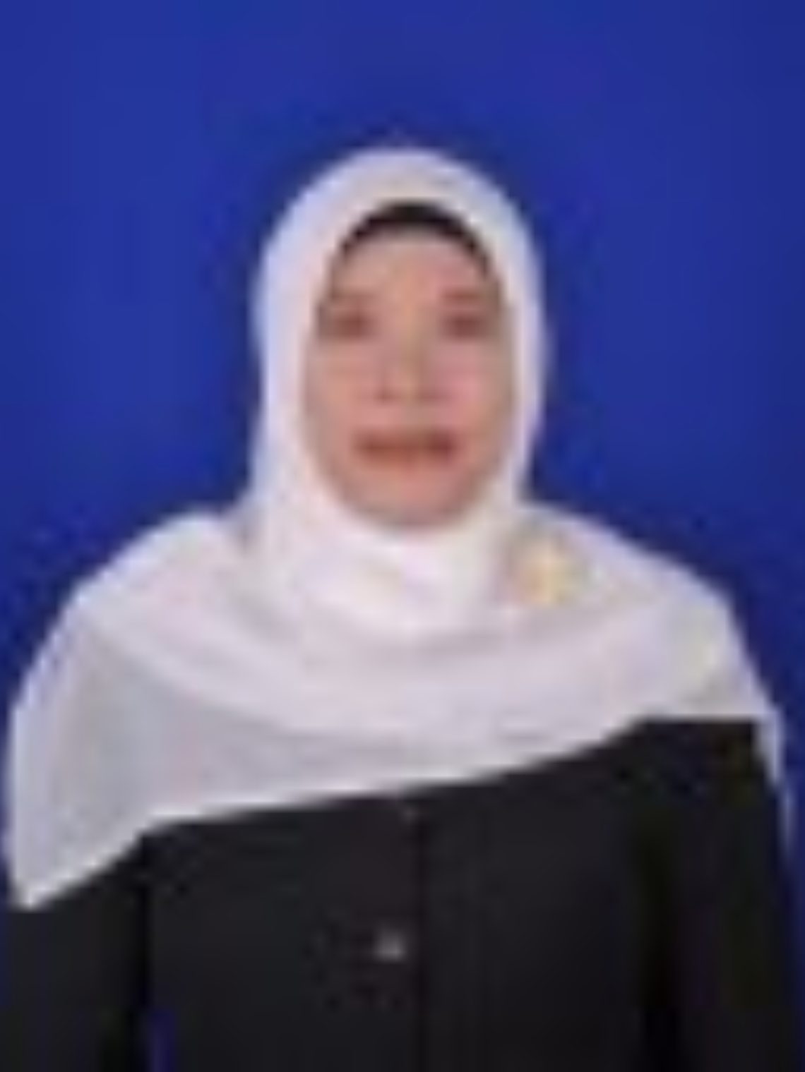 Dr. Ellisa Fitri Tanjung, M.A – MPAI UMSU